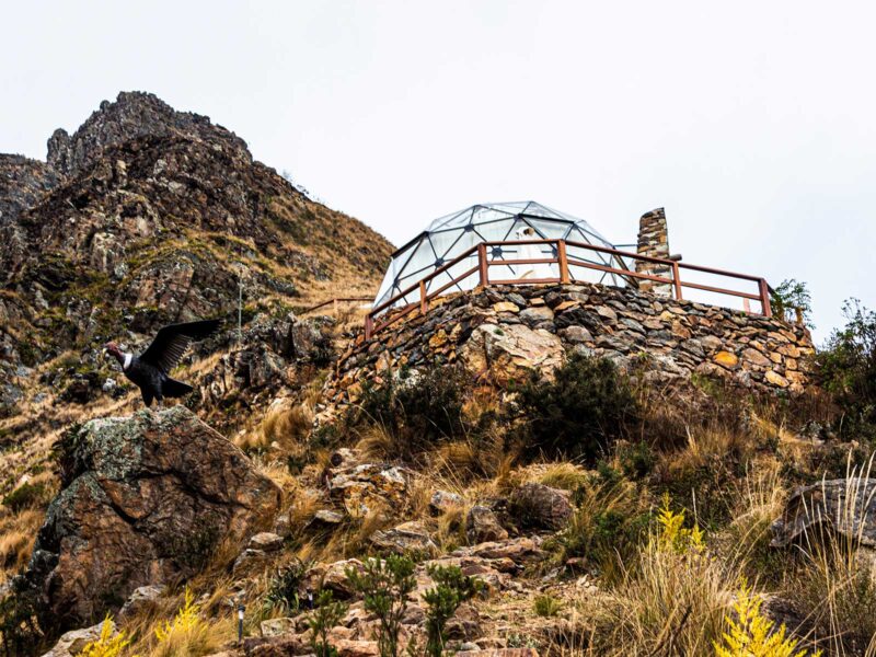 Domes – Vertical Sky Luxury Suites